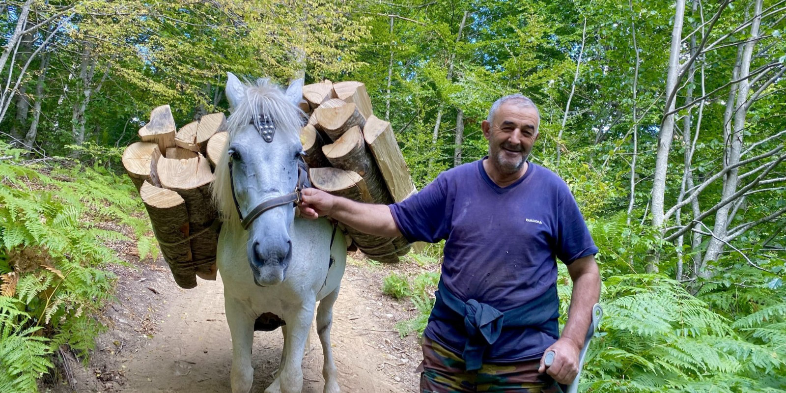 High Scardus Trail - BookYourTrail® powered by Trail Angels